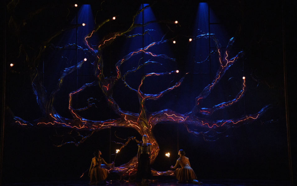 Merlin | Norwich Theatre