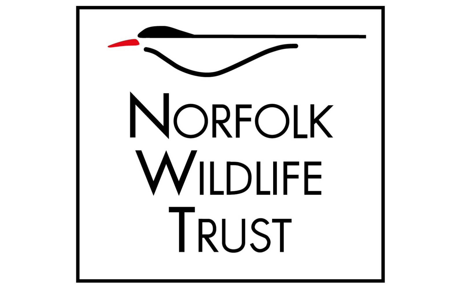 UEA Green Film Festival 2025: Nature Recovery: Stories of Hope ...