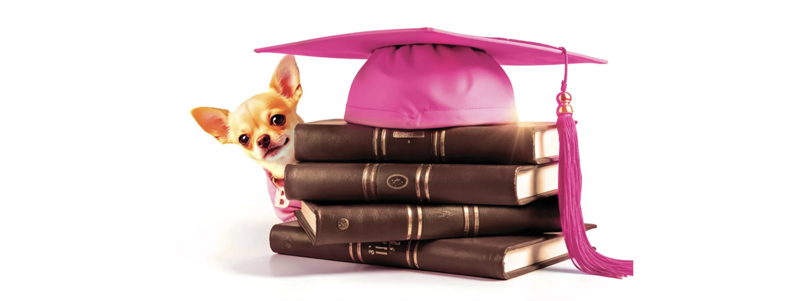 Brand-new production of Legally Blonde The Musical to tour the UK and ...